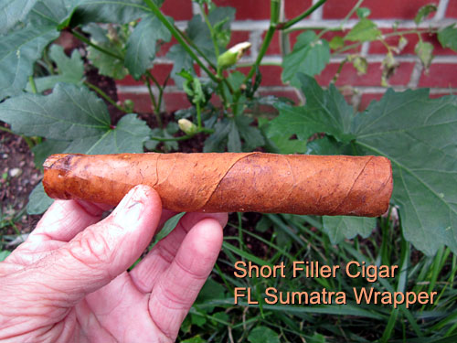 Cigar bunching with a mat. | Fair Trade Tobacco | How to Grow, Cure and ...