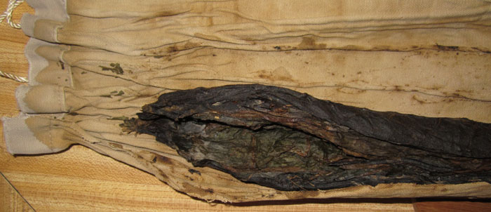 Dominican Andullo Curing | Fair Trade Tobacco | How to Grow, Cure and ...