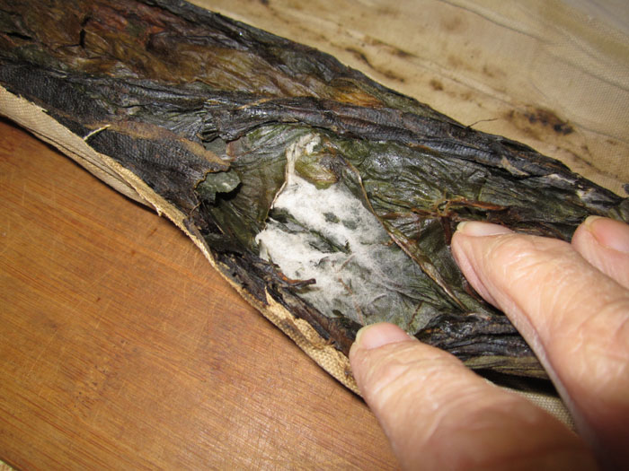 Dominican Andullo Curing | Fair Trade Tobacco | How to Grow, Cure and ...